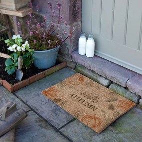 Rohožka z kokosového vlákna 40x60 cm Hello Autumn – Artsy Doormats