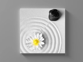 Liox Bílý obraz leknín Rozměr: 150 x 150 cm