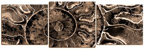 Obraz na plátně - Textura fosílie - panoráma 5174FD (90x30 cm)