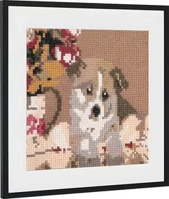 GRAFIX Diamantové malování Roztomilé štěně / 20x20 cm
