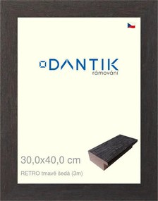 DANTIK rámeček 30x40 | RETRO tmavě šedá (Plexi Čiré)