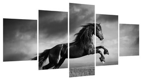 Černobílý obraz koně (150x80 cm)