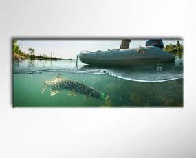 Malvis ® Obraz Rybář na člunu zdolává štiku ROZMĚR (šířka x výška): jednodílný obdélník 150x60 cm