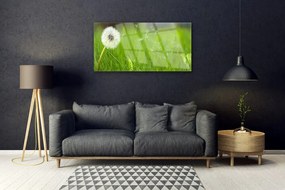 Obraz na skle Pampeliška Tráva Rostlina 125x50 cm