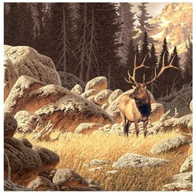 Obraz jelena (30x30 cm), 40 dalších rozměrů