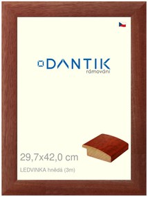 DANTIK rámeček 29,7x42 | LEDVINKA hnědá (Plexi Čiré)