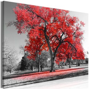Jednodílný obraz červená krajina + háčky, hřebíčky ZDARMA Velikost (šířka x výška): 90x60 cm