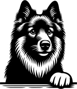 Samolepka pes Norský elkhound