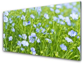 akrylový obraz Květiny Tráva Rostlina Příroda 140x70 cm