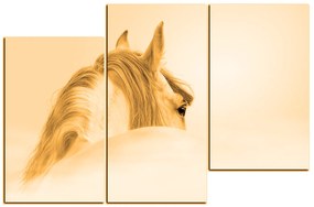 Obraz na plátně - Andaluský kůň v mlze 1219FD (120x80 cm)