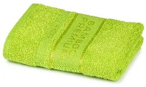 4home Koupelnový textil - Ručník 100x50 cm, zelená 222015