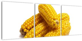 Kukuřice, obraz