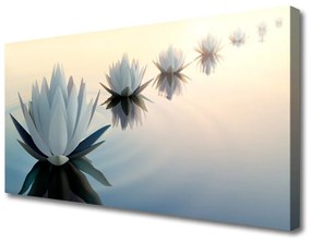 Obraz na plátně Vodní Lilie Bílý Leknín 100x50 cm