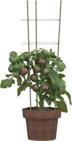 Opory pro zahradní rostliny se 3 kroužky 5 ks zelené 60 cm ocel 319373