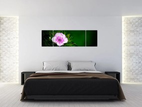 Obraz růžového květu (170x50 cm)