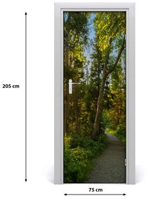 Fototapeta na dveře stezka v lese 75x205 cm