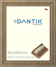 DANTIK rámeček 40x50 | KŘÍDLO malé stříbrné patina (Sklo Čiré)