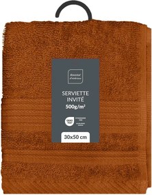 Froté bavlněný ručník v terakotové barvě 30x50 cm Tendresse – douceur d'intérieur