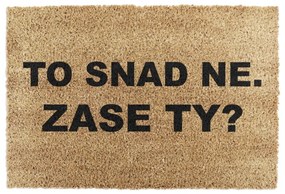 Rohožka z kokosového vlákna 40x60 cm Zase Ty? – Artsy Doormats