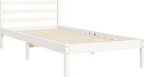 vidaXL Rám postele s čelem 100 x 200 cm masivní dřevo [3195279] Barva: Černá