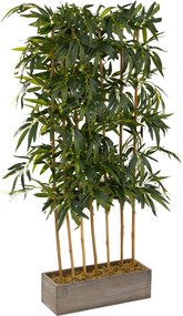 Bambus v dekorativním truhlíku 155 cm