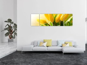 Obraz - Žluté tulipány (170x50 cm)