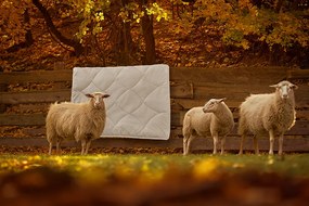 Vlněná přikrývka Komfort Wool Rozměr: 140x220 cm