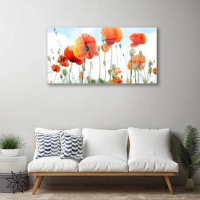 Obraz na skle Květiny Máky Louka Pole Příroda 120x60 cm