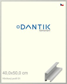 DANTIK rámeček 40x50 | ALU profil 6001 Stříbrná matná (Plexi Čiré)