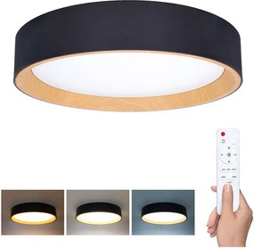 LED stropní světlo s dálkovým ovládáním Larios nastavitelné - průměr 39 cm, černá