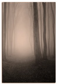 Obraz na plátně - Mlha v lese - obdélník 7182FA (90x60 cm  )