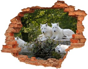 Wallmuralia Fototapeta díra na zeď Bílí vlci skála 90x70 cm