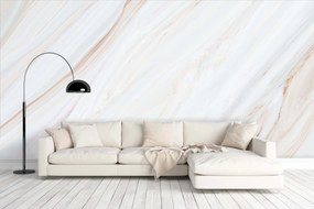 Malvis ® Tapeta Béžový mramor Vel. (šířka x výška): 216 x 140 cm