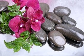 Samolepící fototapeta kvetoucí orchidej a wellness kameny - 225x150 cm
