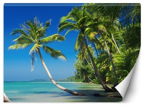 Fototapeta, Palmy na divokém ostrově - 250x175 cm