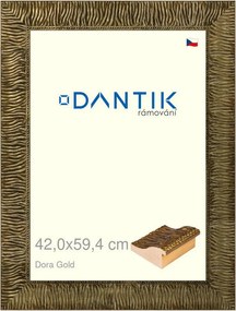 DANTIK rámeček 42x59,4 | Dora Gold (Plexi Čiré)