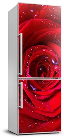 Wallmuralia Nálepka fototapeta lednička Červená růže 60x180 cm