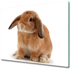 Skleněná krájecí deska Rudovlasý králík 60x52 cm