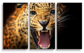 Sablio Obraz - 3-dílný Gepard 2 - 120x80 cm