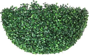 Umělé topiary Zimostráz, 50,8 cm vysoký (2 kusy)