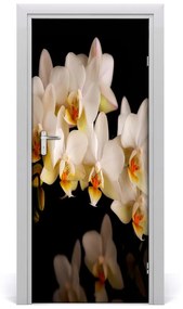 Fototapeta samolepící Orchidej 75x205 cm