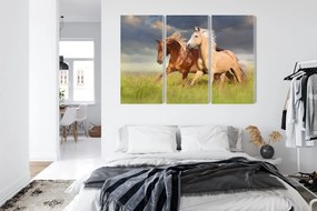 Vícedílný obraz Koně Cválající Na 3D Louce Nedostatek Nedostatek Plátno Canvas 120x80