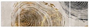 Obraz - Abstrakce kmenů (170x50 cm)