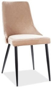 Casarredo - Komfort nábytek Designová jídelní židle NOPI VELVET béžová/černý kov