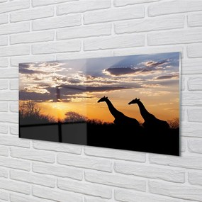 akrylový obraz Žirafy strom mraky 100x50 cm