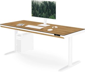 Elektrický psací stůl sit-stand se zásuvkou a bezdrátovou nabíječkou Qi bílý/zlatý dub, 1600 mm: ELLIS