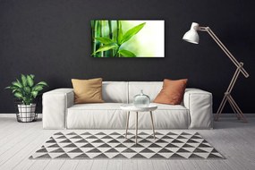 Obraz na plátně Bambus List Rostlina Příroda 125x50 cm
