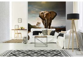 DIMEX | Vliesová fototapeta na zeď Kráčející slon MS-3-0225 | 225 x 250 cm | šedá, béžová, zelená, modrá