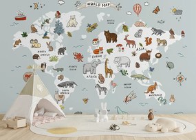 Dětská fototapeta na míru Modrobílá Kreslená Mapa Se Zvířaty | Vliesová fototapeta na zed' | DFTD5P 352447