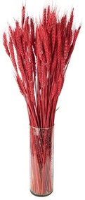 Červená květina pšeničné sušené klasy - 80  cm (200 gr)